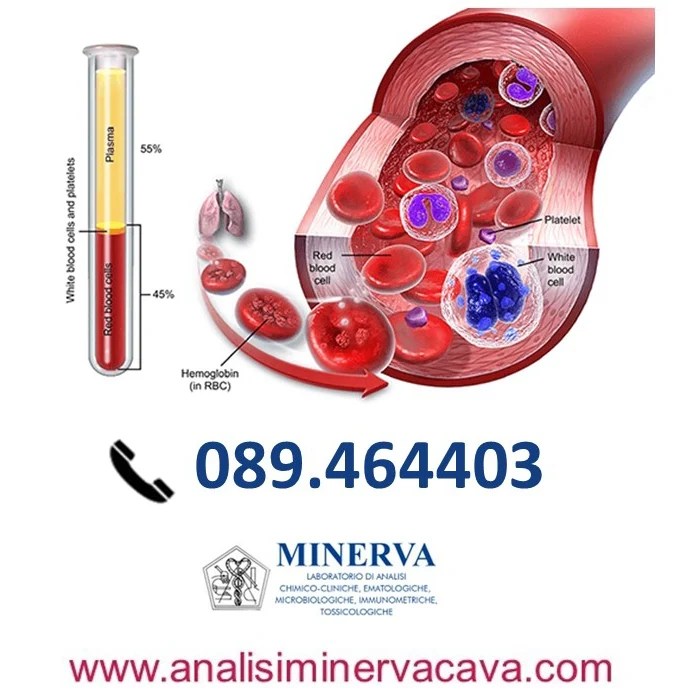 Esame emocromocitometrico completo: Emocromo – Analisi Cliniche Minerva